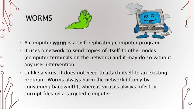 Computer virus & its cure