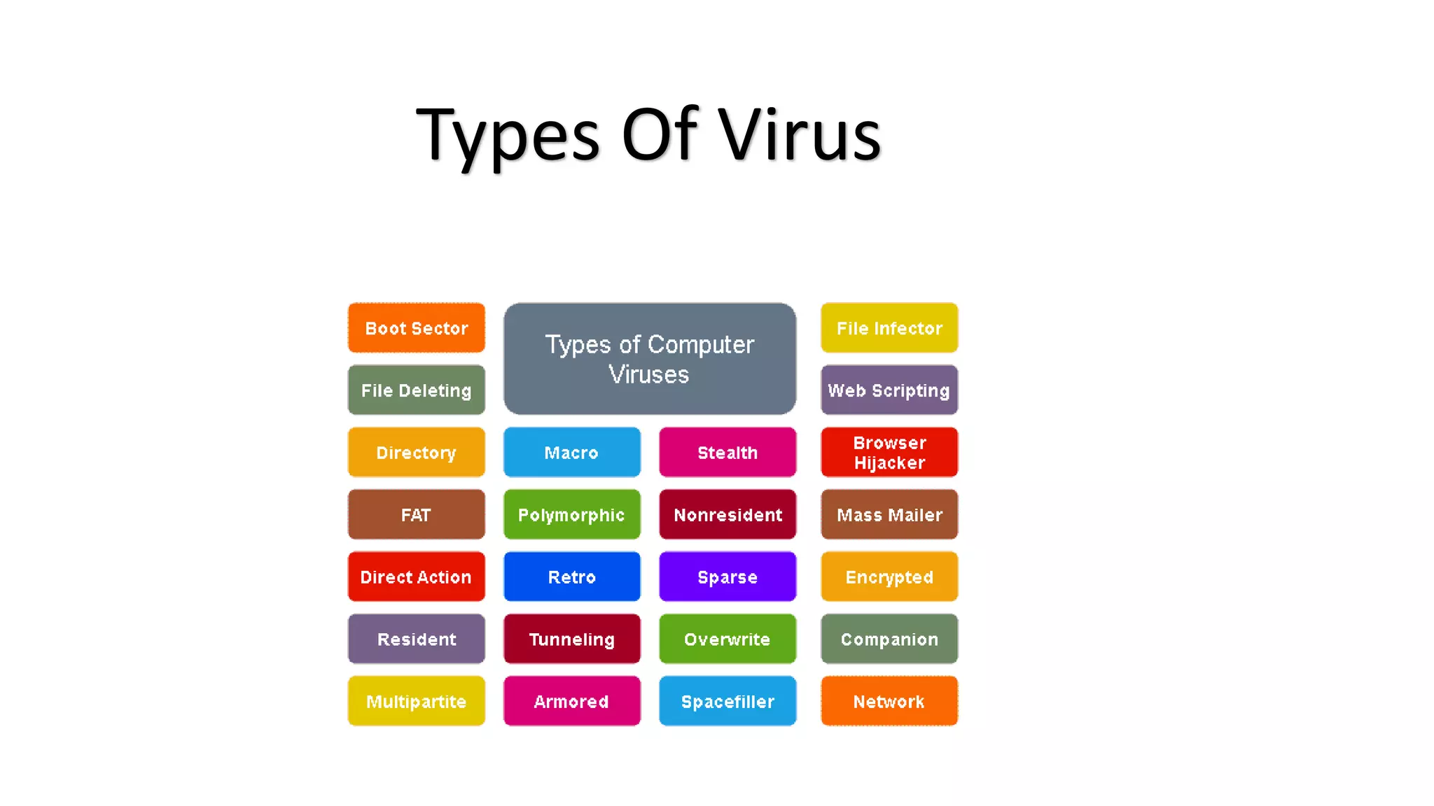 Computer Virus ppt.pptx