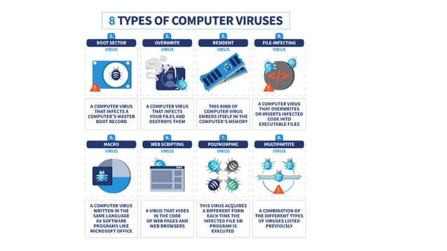 Computer Virus ppt.pptx | Antivirus Software | Computer Software and Applications