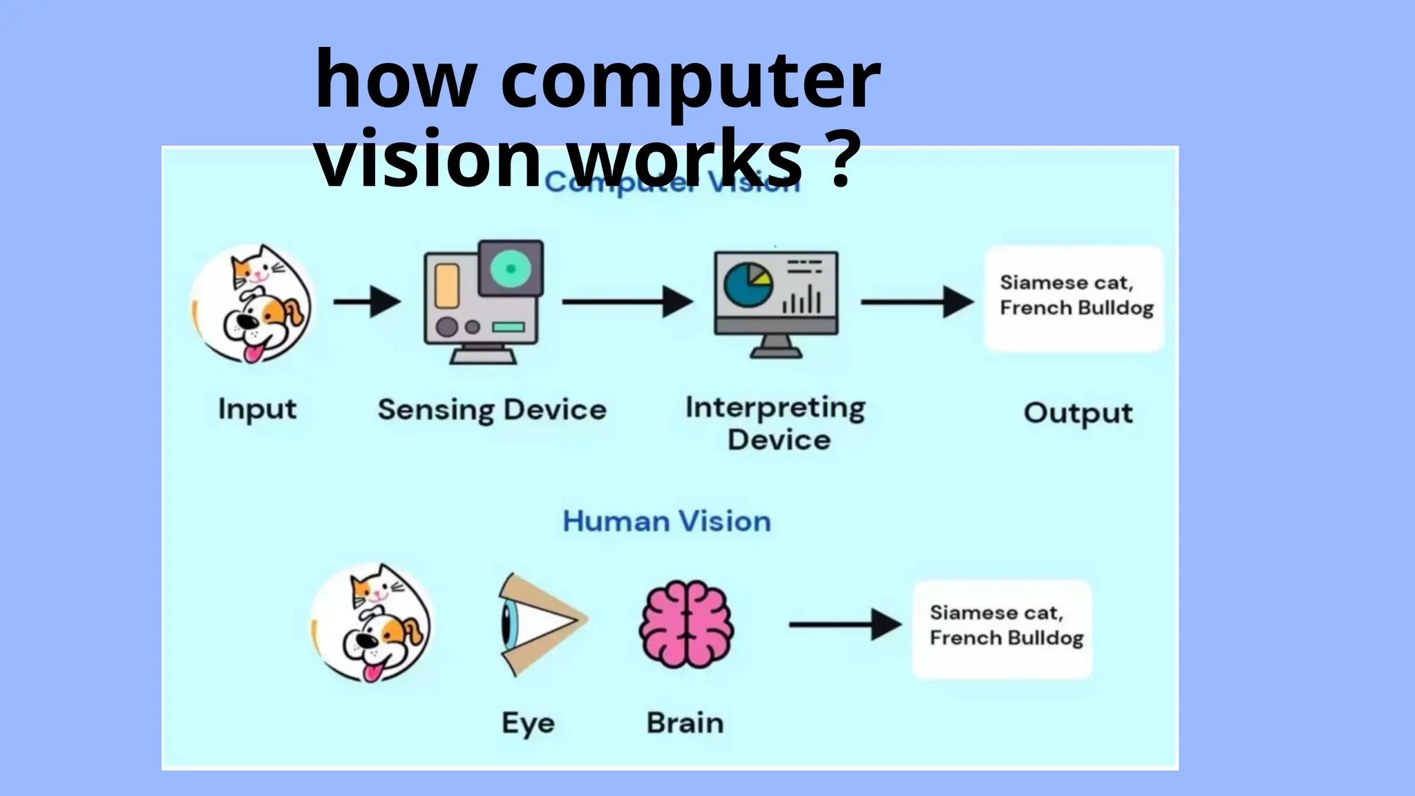 power point presentation on Computer Vision | PPTX