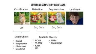 Introduction to Computer Vision and its Applications | PPTX