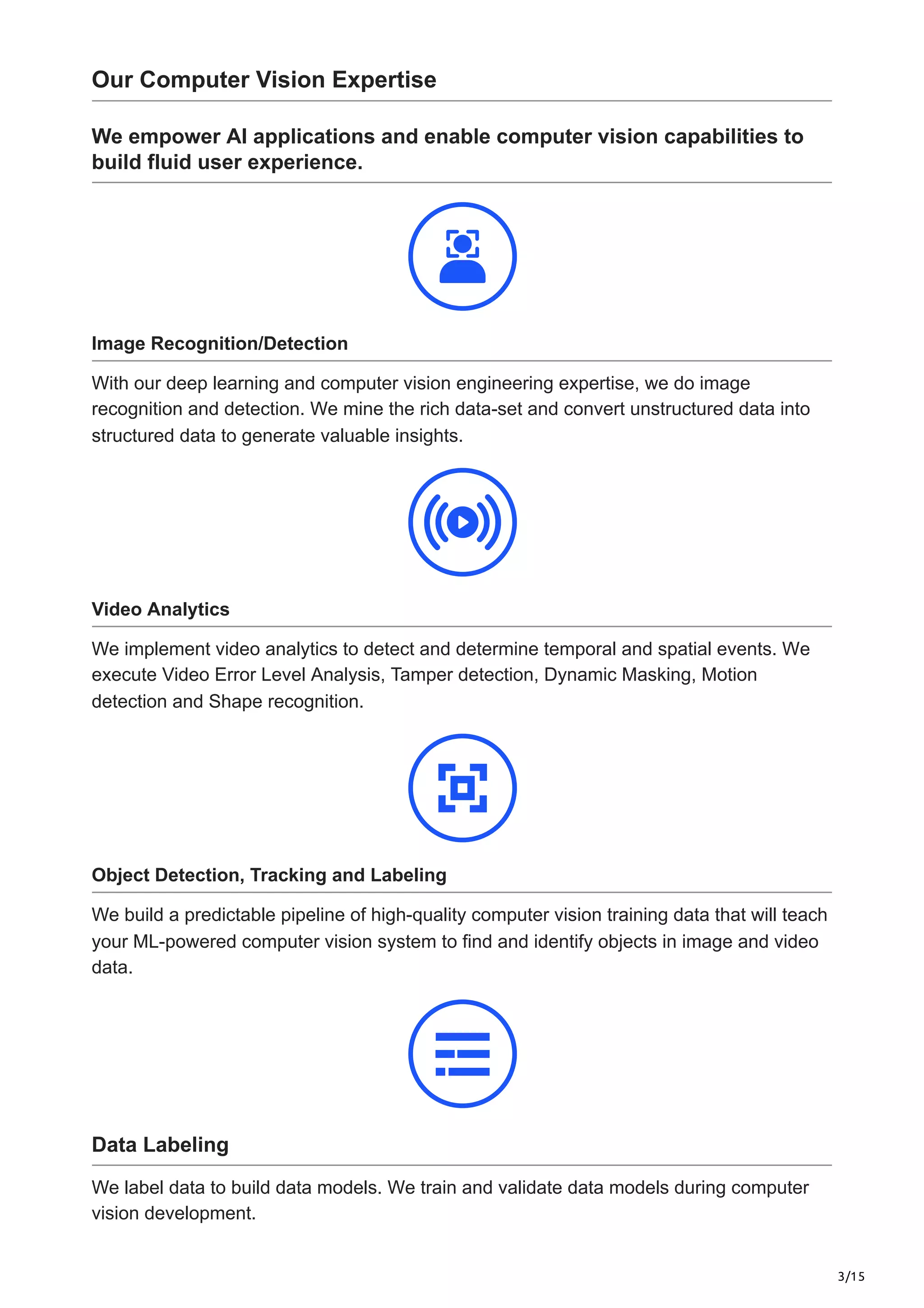 Computer Vision Software Development.pdf