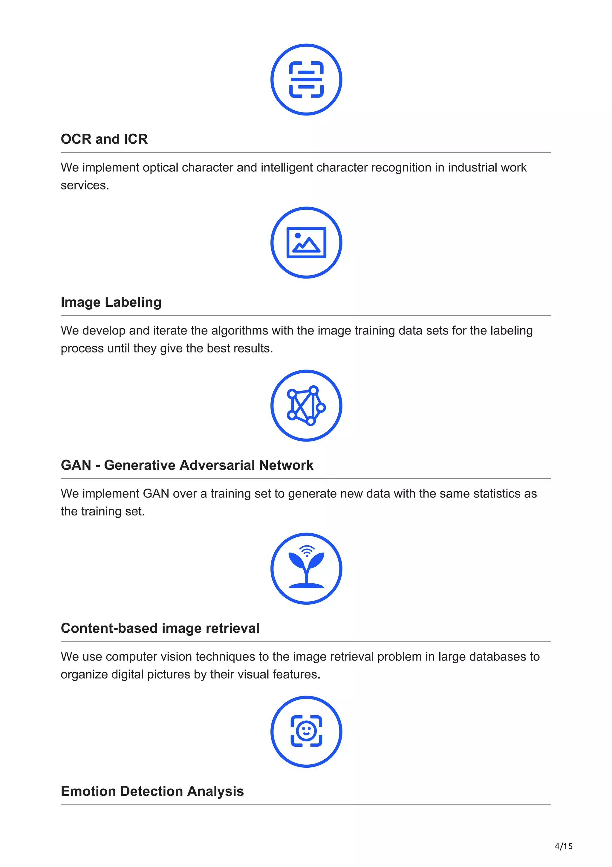 Computer Vision Software Development.pdf