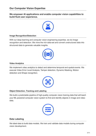 Computer Vision Software Development.pdf