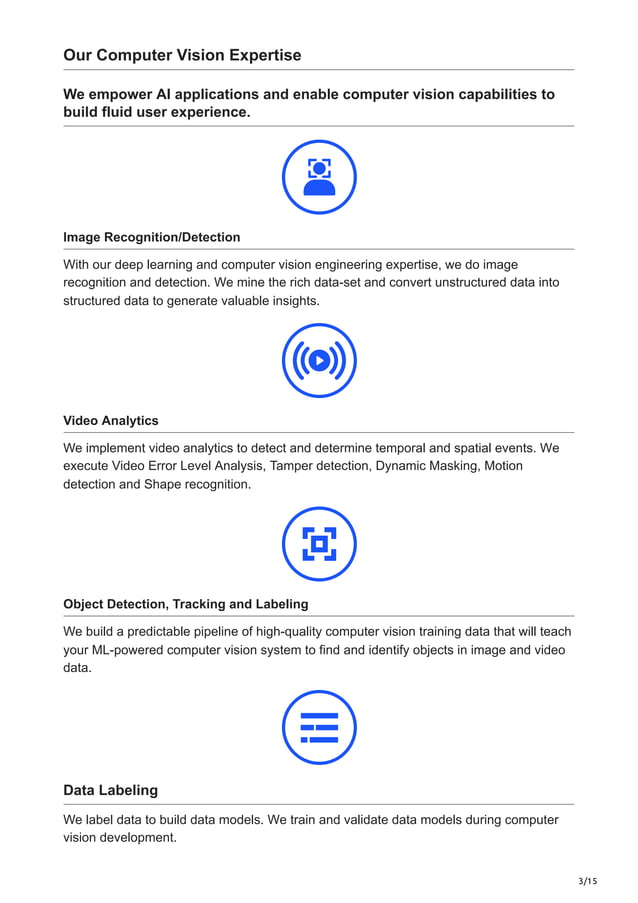 Computer Vision Software Development.pdf