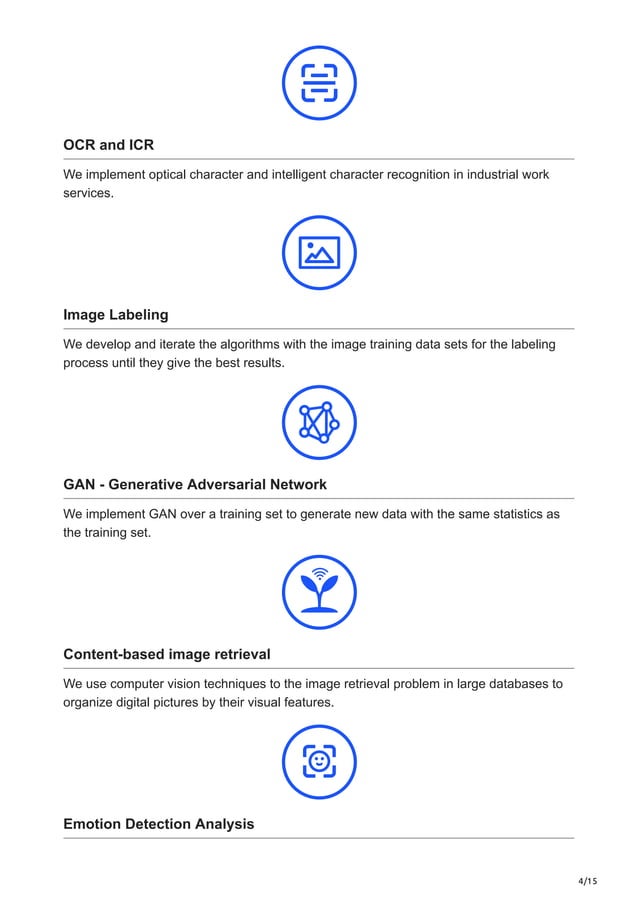 Computer Vision Software Development.pdf