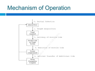 Computer Worms | PPT