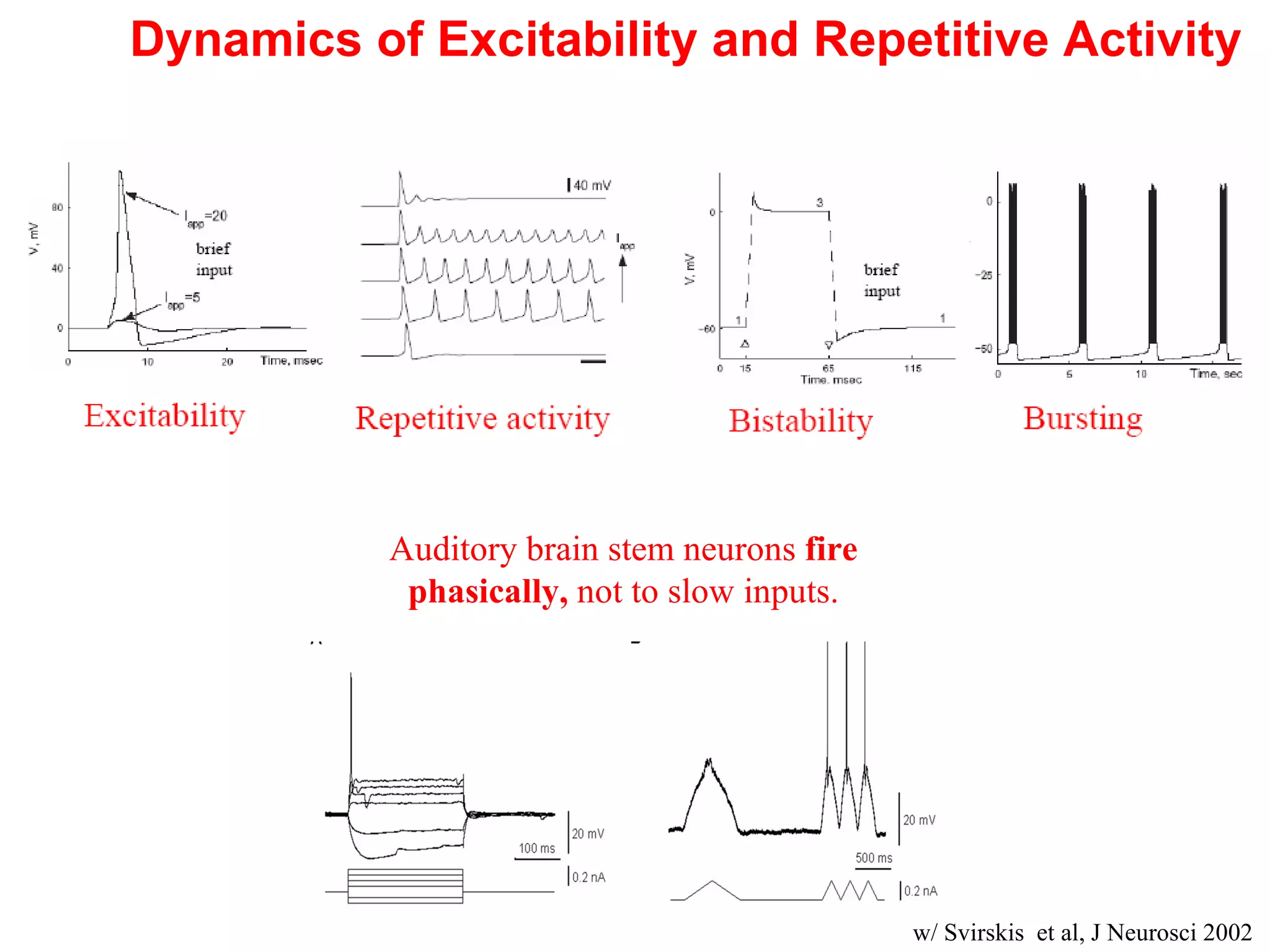What is (computational) neuroscience? | PPT