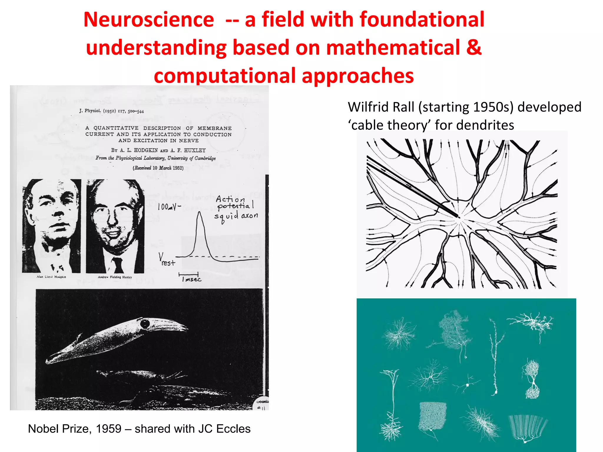 What is (computational) neuroscience? | PPT