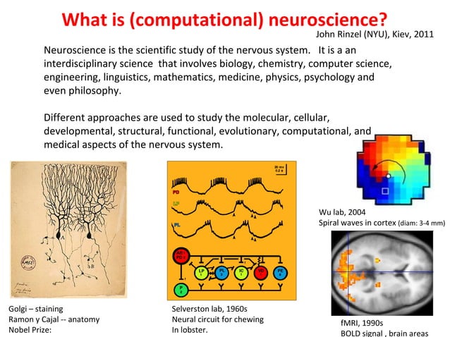 What is (computational) neuroscience? | PPT | Artificial Intelligence | Technology & Computing