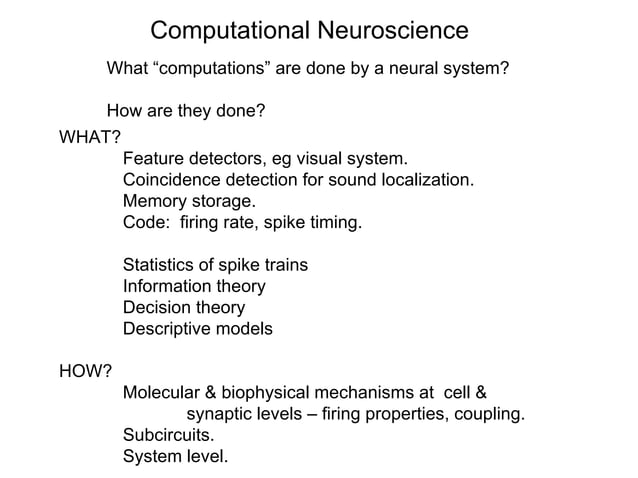 What is (computational) neuroscience? | PPT | Artificial Intelligence ...