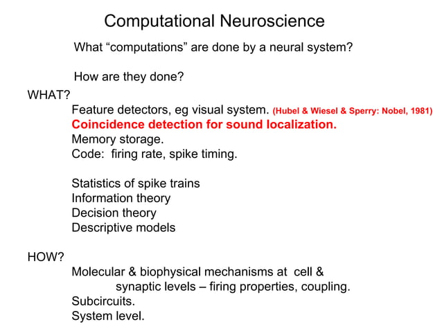 What is (computational) neuroscience? | PPT | Artificial Intelligence | Technology & Computing