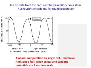 What is (computational) neuroscience? | PPT
