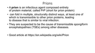 Comparative Virology Retroviruses Slides | PPT