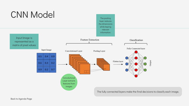 CompVis 101 - Computer Vision Bootcamp - GDGoC IBA | PDF