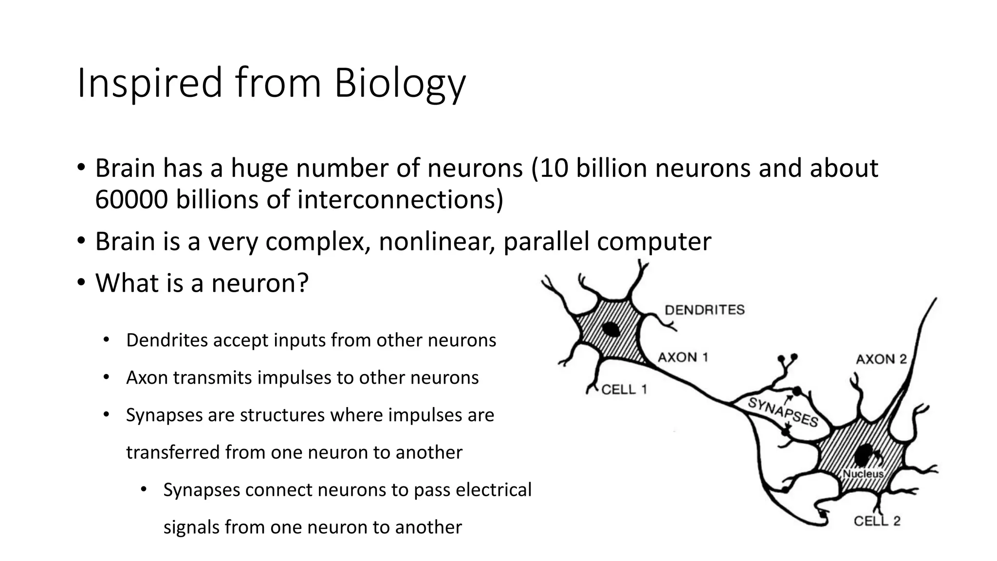Artificial Neural Networks Artificial Neural Networks Ppt