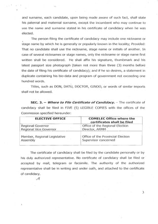 Guidelines for Filing of Candidacy | PDF