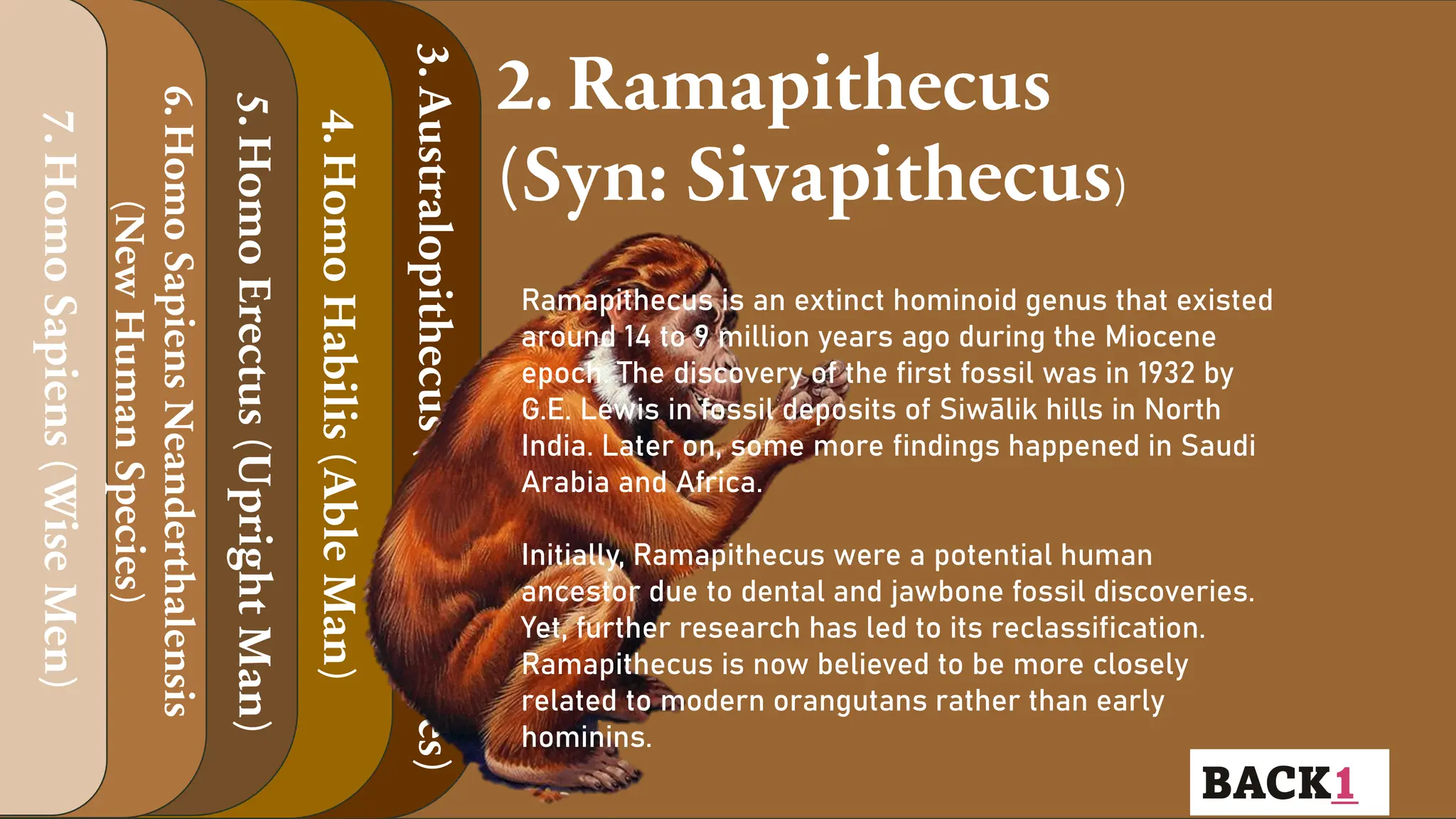 7 stages of human evolution by Jhairra Vel J. Lopez and Simone ...