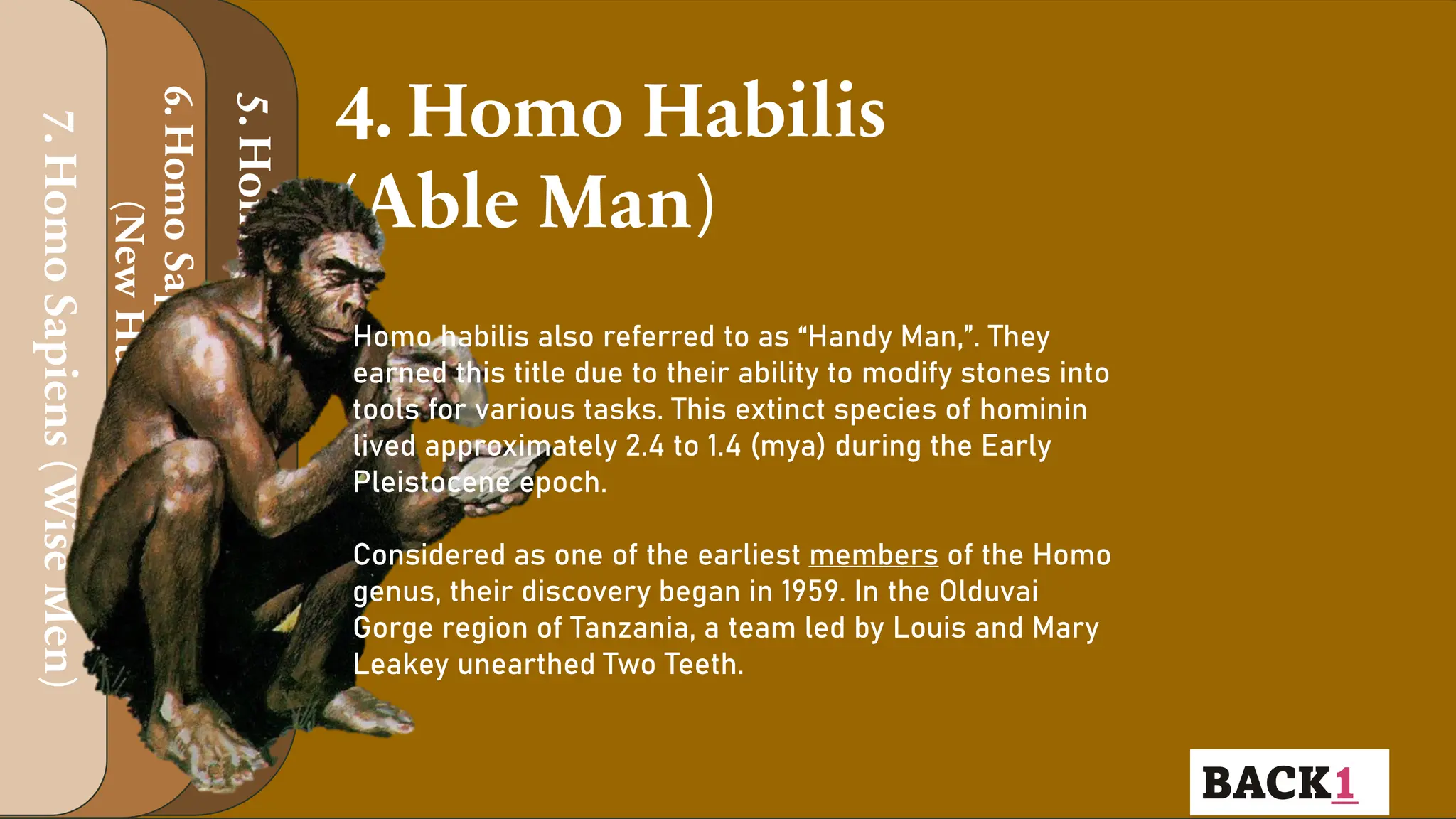 7 stages of human evolution by Jhairra Vel J. Lopez and Simone ...