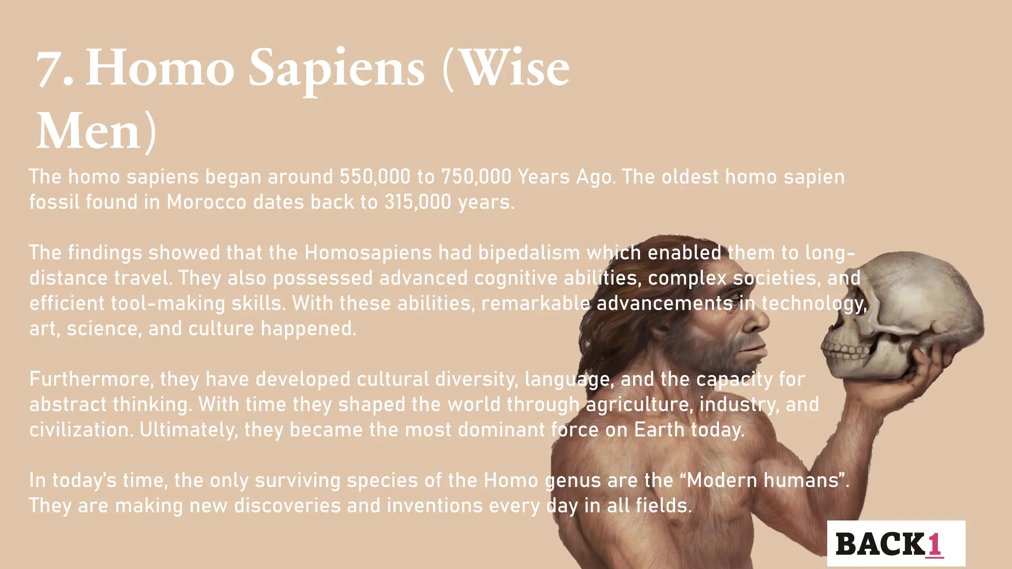 7 stages of human evolution by Jhairra Vel J. Lopez and Simone ...