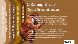 7 stages of human evolution by Jhairra Vel J. Lopez and Simone Deaneille A. Gonzaga | PDF