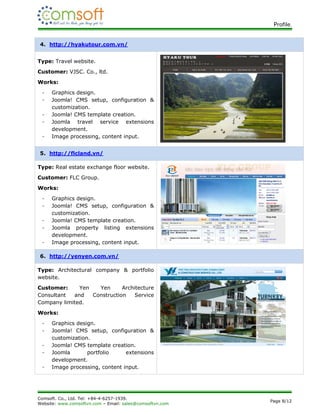 Comsoft brief profile - English version. | PDF