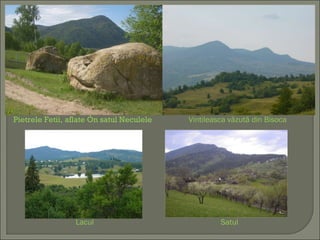 Comuna Vintileasca | PPT