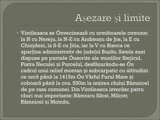 Comuna Vintileasca | PPT