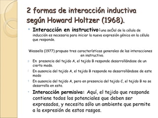 Comunicación Celular | PPT