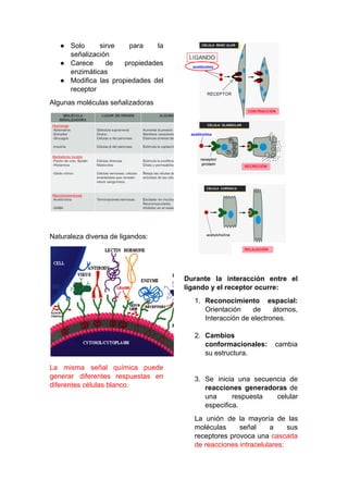 COMUNICACIÓN CELULAR MEDIANTE MOLECULAS DE SEÑALIZACIÓN RECEPTORES ...