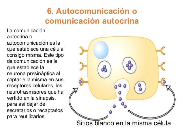Tipos de comunicación celular