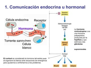 Comunicacion celular | PPT