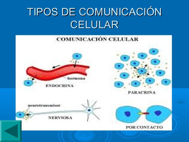 Comunicacion celular