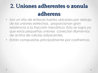 Comunicacion celular | PPT
