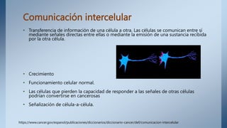 Comunicación intercelular - sistema nervioso.pptx