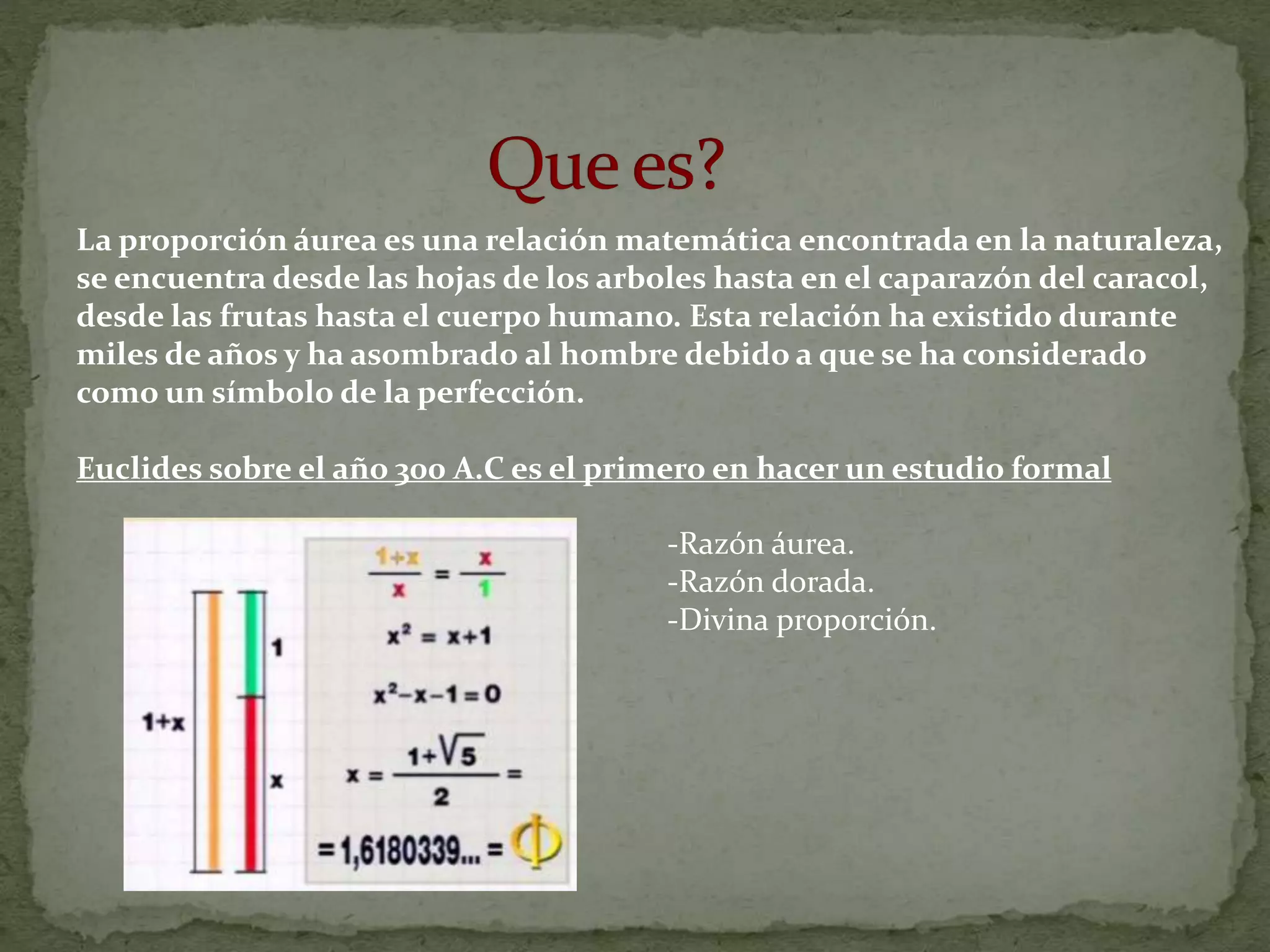 Proporcion Aurea | PPTX | Geography | Science