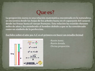 Proporcion Aurea | PPTX