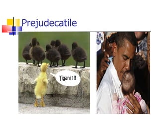 Comunicarea interculturala | PPT