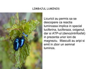 Comunicarea la animale | PPT