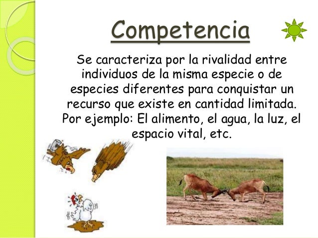 Comunidad-Ecologia