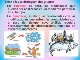 Competencia Biologica