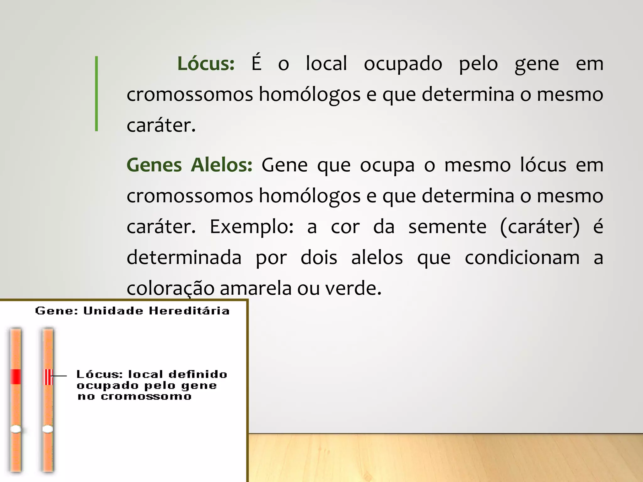 Conceitos básicos de Genética | PPT
