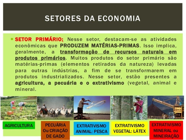 Conceitos geograficos e setores da economia