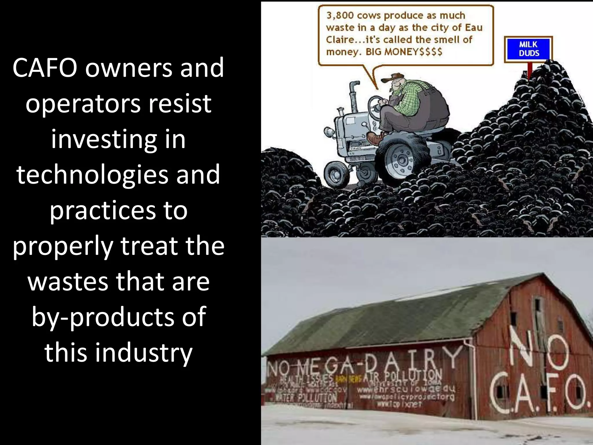 Concentrated animal feeding operations | PPTX