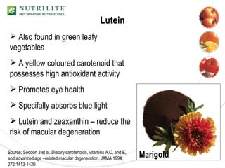 Concentrated Fruits Vegetables | PPT