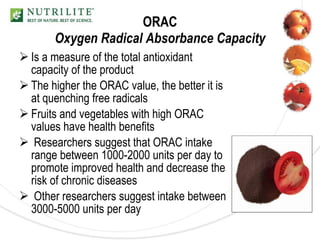 Concentrated Fruits Vegetables | PPT