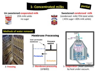 Concentrated milks technology and faults | PPT