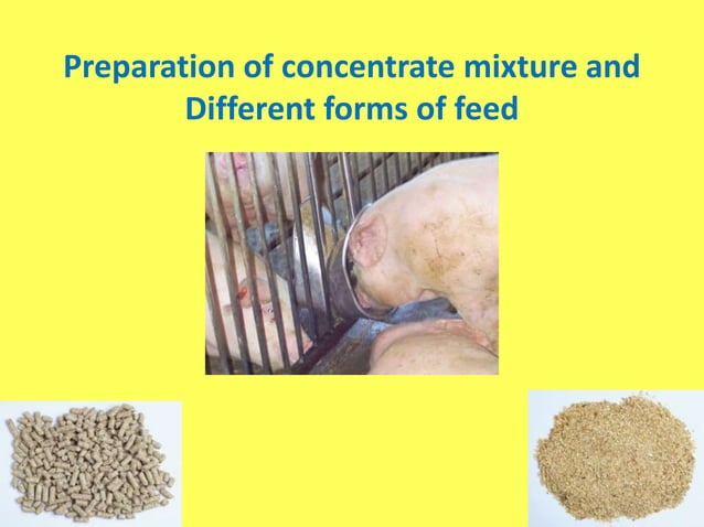 Preparation of concentrate mixture and different forms of feed for pigs ...