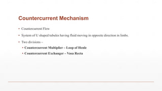 PHYSIOLOGY OF CONCENTRATION OF URINE.pptx