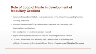 PHYSIOLOGY OF CONCENTRATION OF URINE.pptx